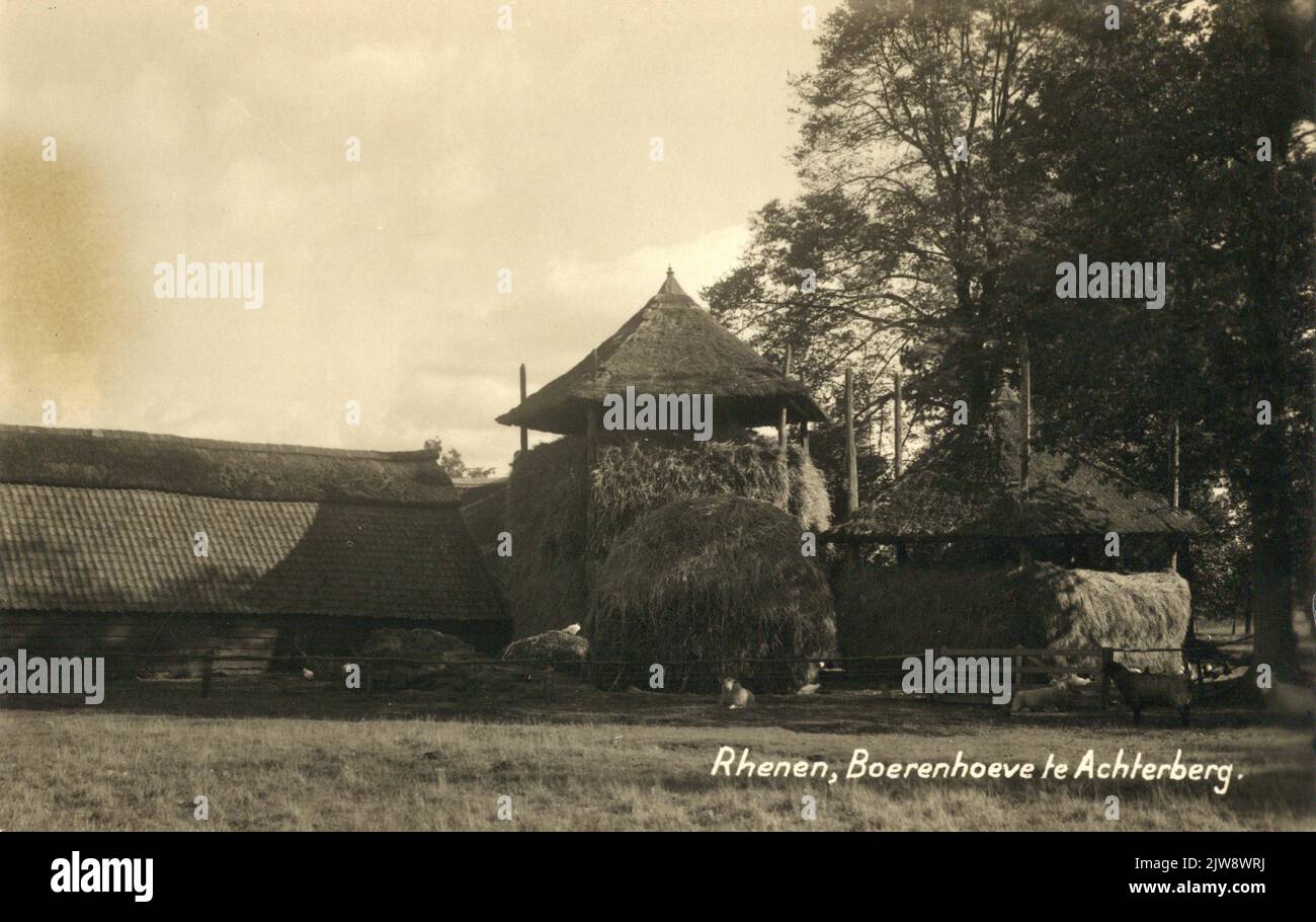 View on the back of a farm in Achterberg Stock Photo - Alamy