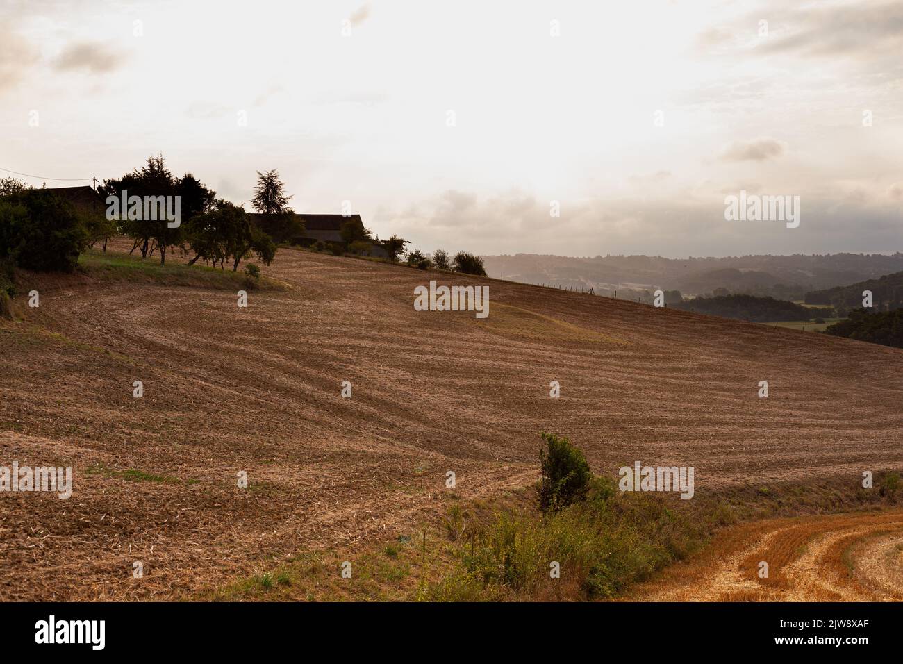 Early morning view of the field along the Chemin du Puy, French route ...
