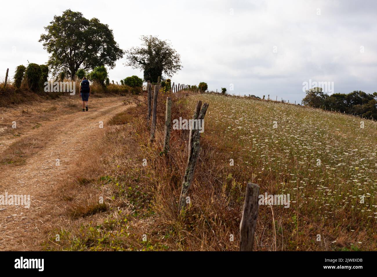 Pilgrim along the Chemin du Puy, French route of the way of St James ...