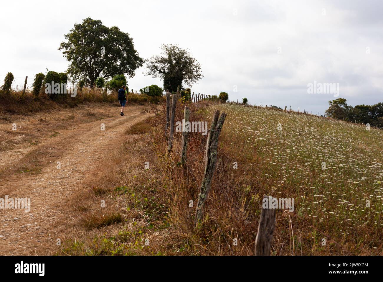 Pilgrim along the Chemin du Puy, French route of the way of St James ...