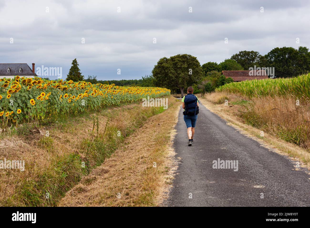 Pilgrim along the Chemin du Puy, French route of the way of St James ...