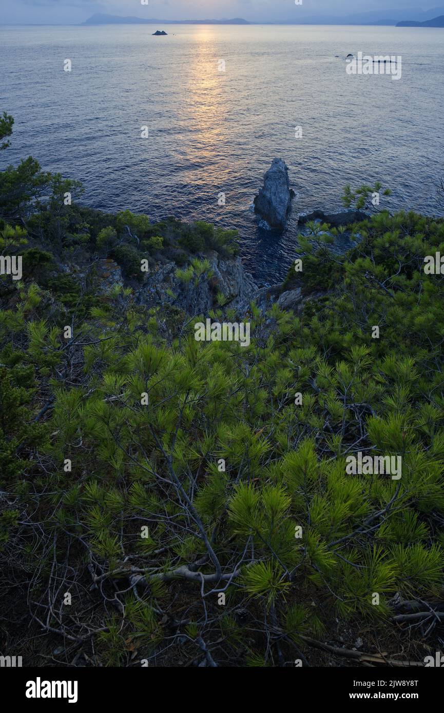 Coastal landscape of Hyeres and Presqu'iles de Giens at sunset, France ...