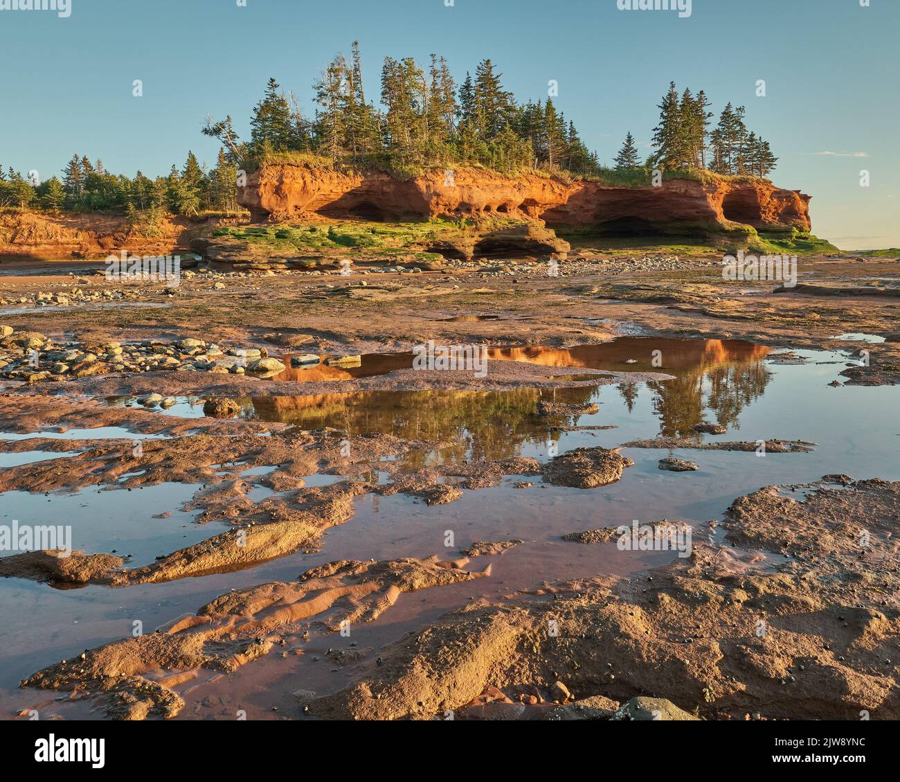 Setting sun lights up the tidal pools and seastacks at Burntcoat Head ...