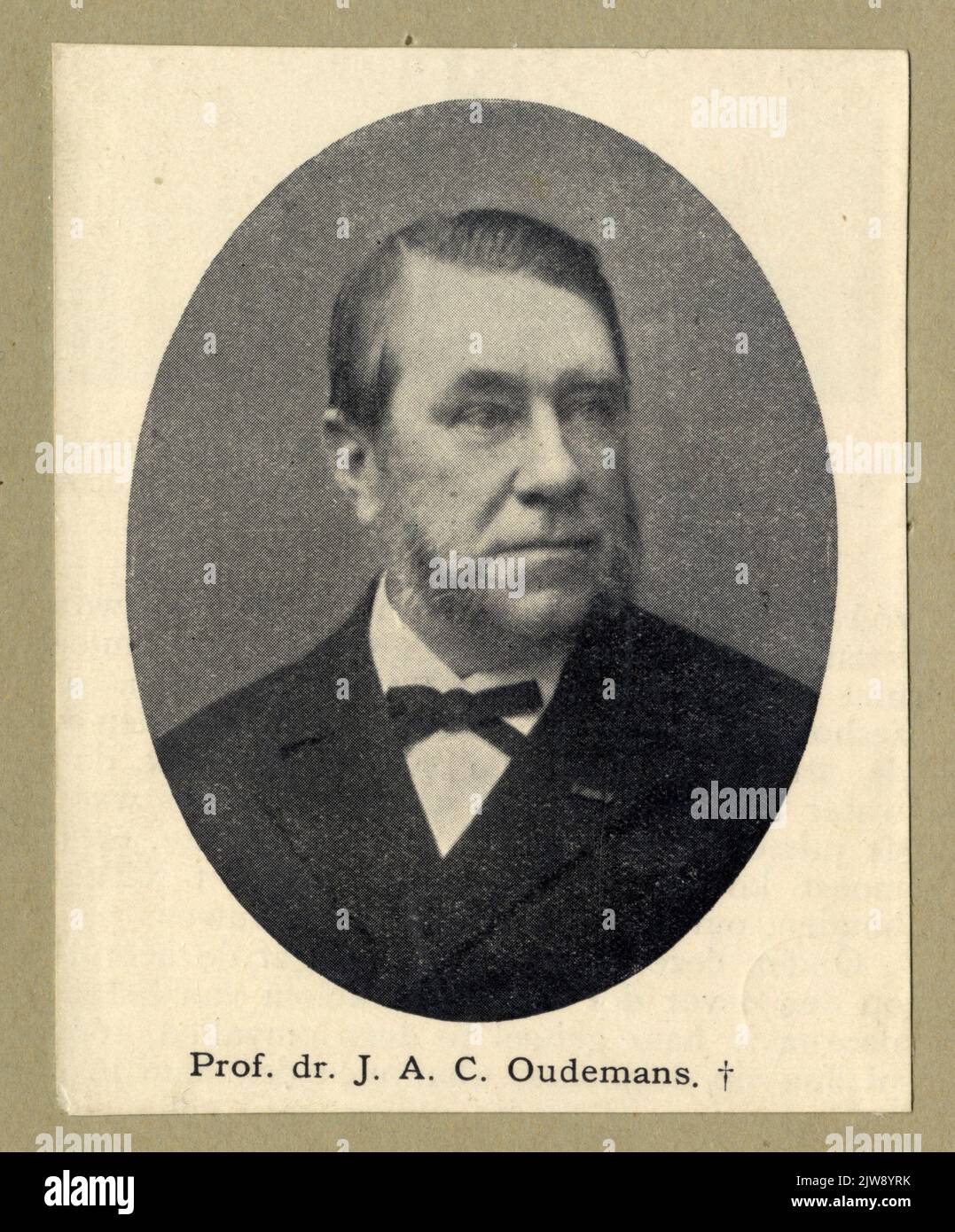 Prof. Dr. J. A. C. Oudemans. + Stock Photo - Alamy