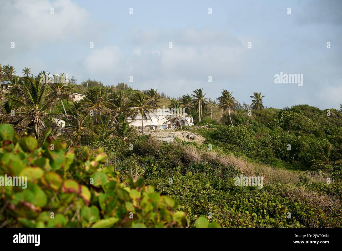 A natural landscape of a hill covered in greenery Stock Photo - Alamy