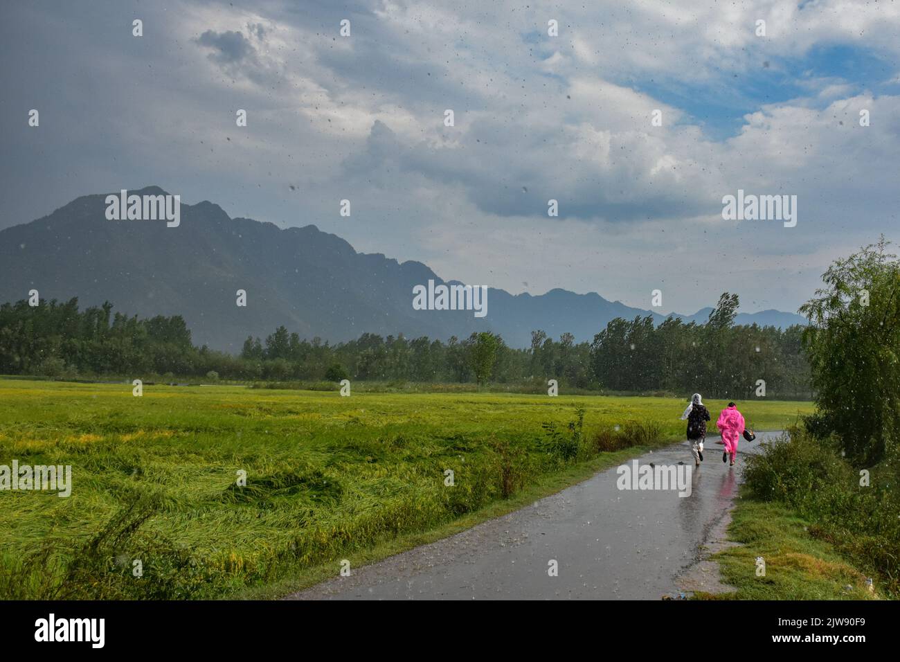 Scattered rainfall hi-res stock photography and images - Alamy