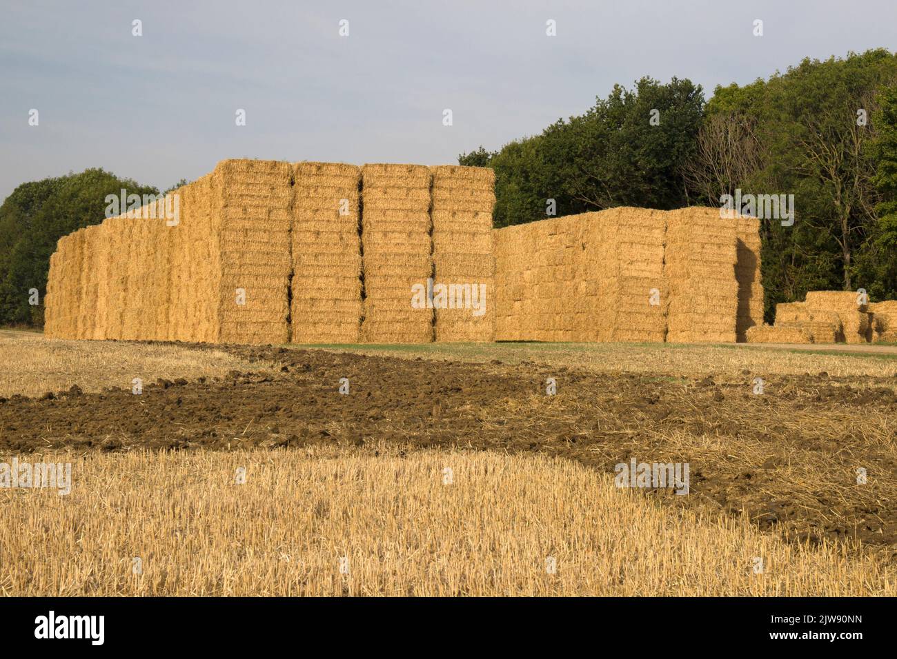 Harlow farm hi-res stock photography and images - Alamy