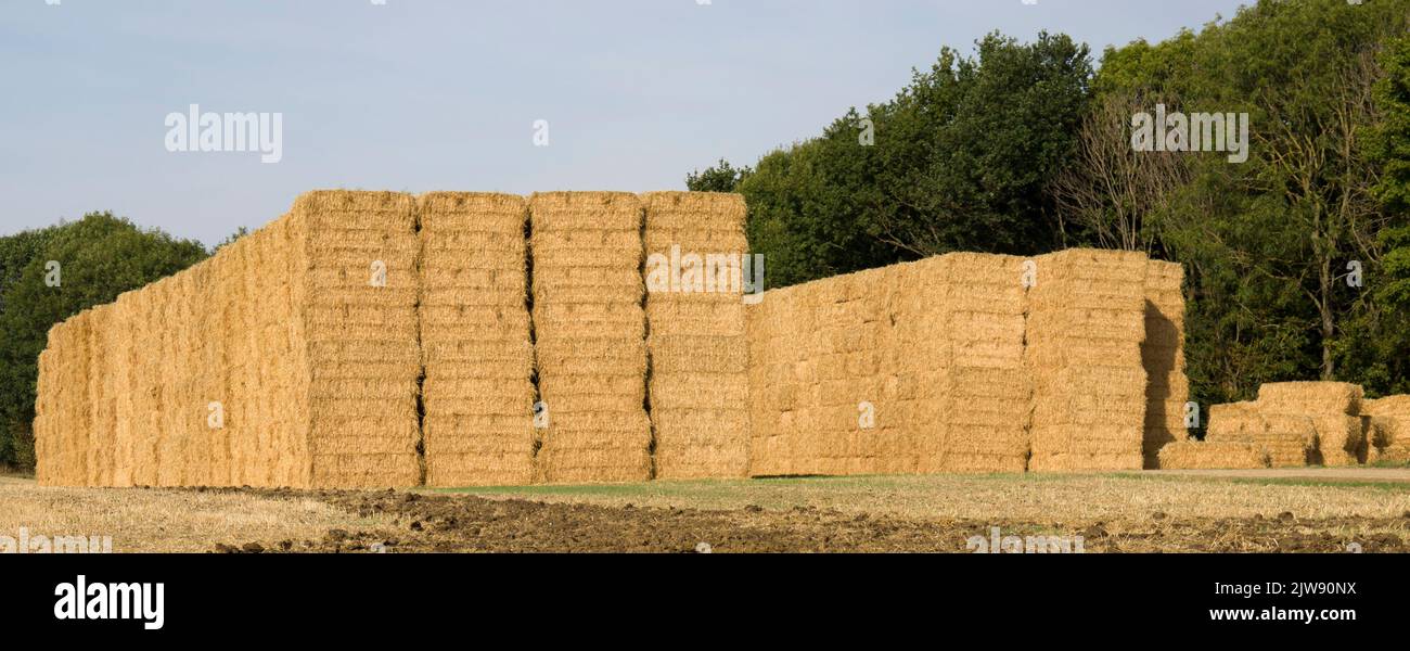 Haystack in Farm Field near Harlow Essex Stock Photo - Alamy