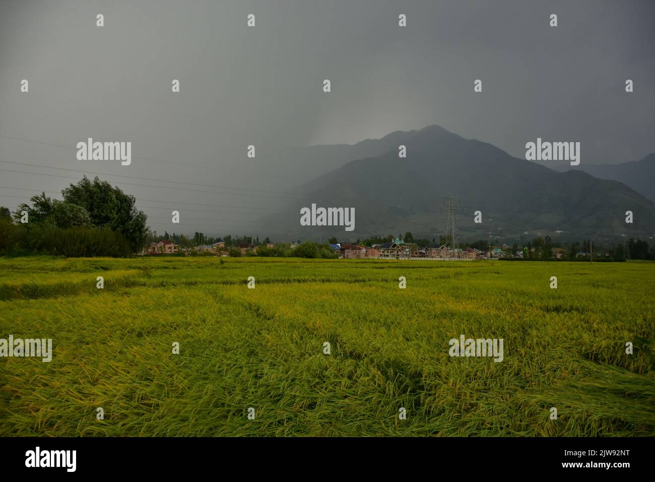 Scattered rainfall hi-res stock photography and images - Alamy
