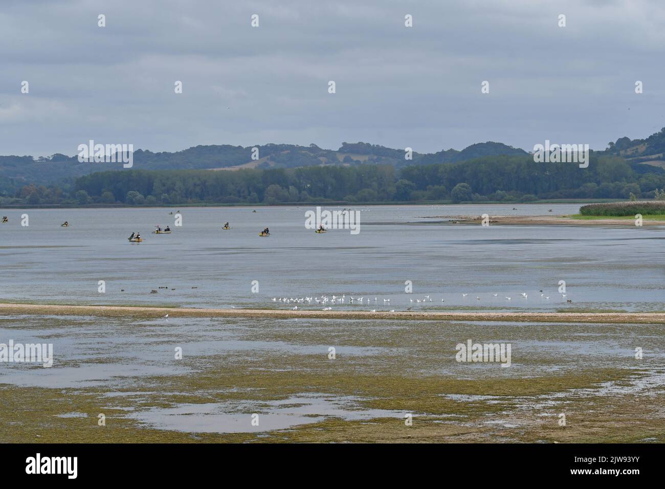 Chew Valley, UK. 04th Sep, 2022. On a very humid afternoon the Chew ...