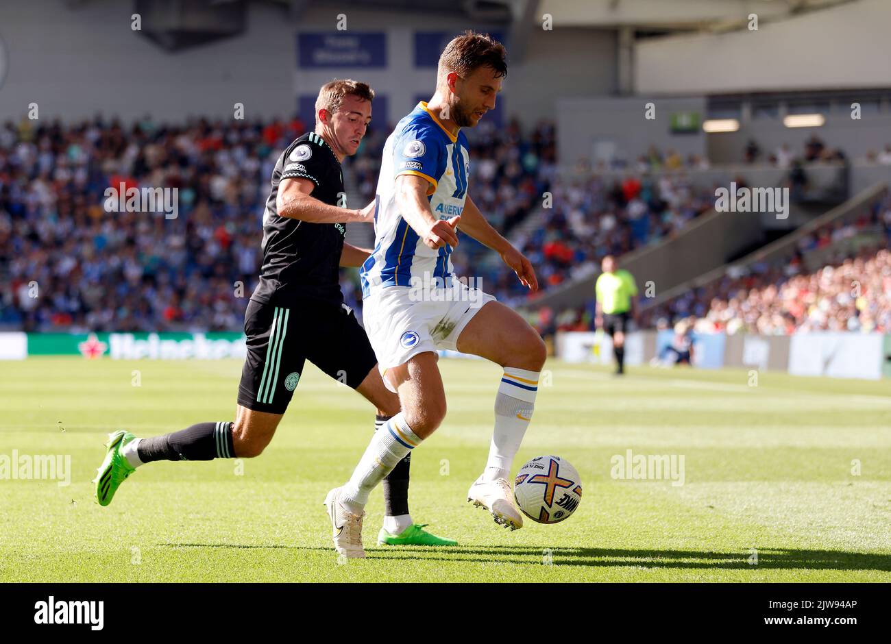 Joel veltman of brighton 2022 hi-res stock photography and images - Alamy