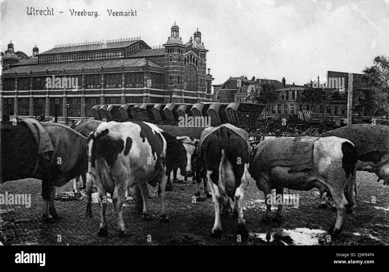 Vredenburg market hi-res stock photography and images - Alamy