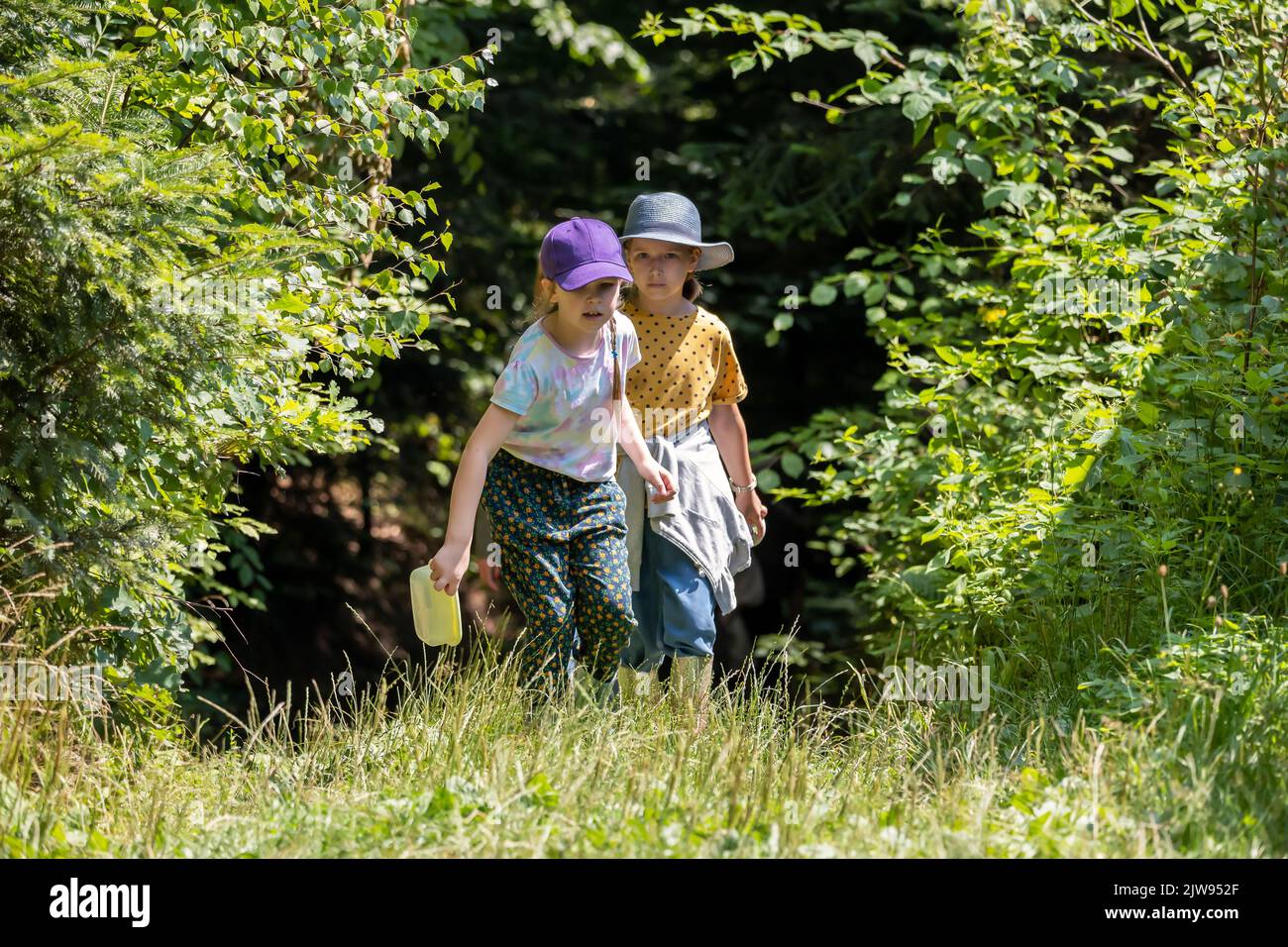 Two children, girls, curious kids exploring the forest together walking ...