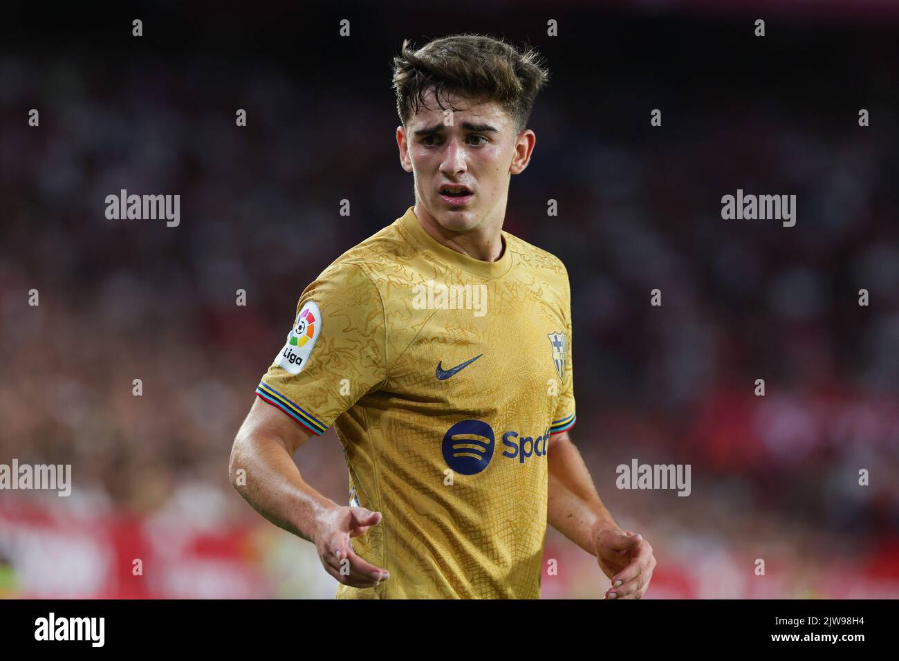 Pablo martín paez hi-res stock photography and images - Alamy