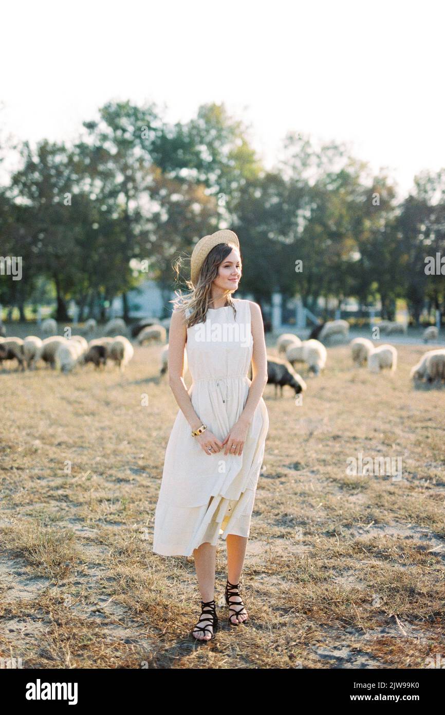 Girl in a straw hat stands on the lawn with grazing sheep Stock Photo ...