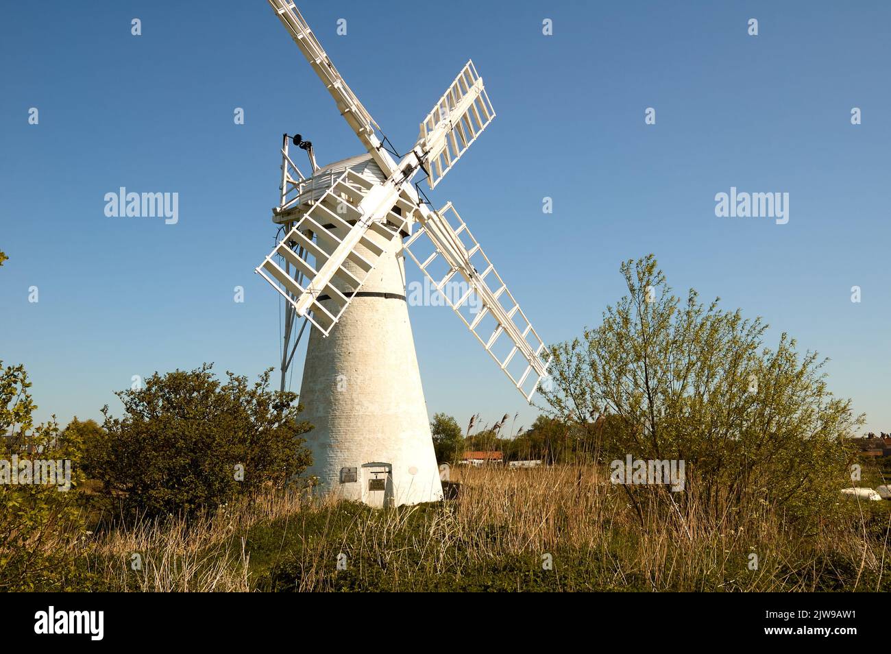 A Thurne Pump drainage mill on the Norfolk Broads Stock Photo - Alamy