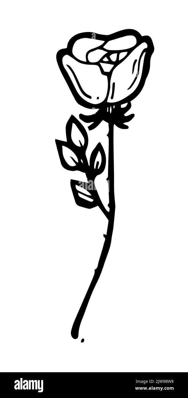 Blossoming leaf on branch Stock Vector Images - Alamy