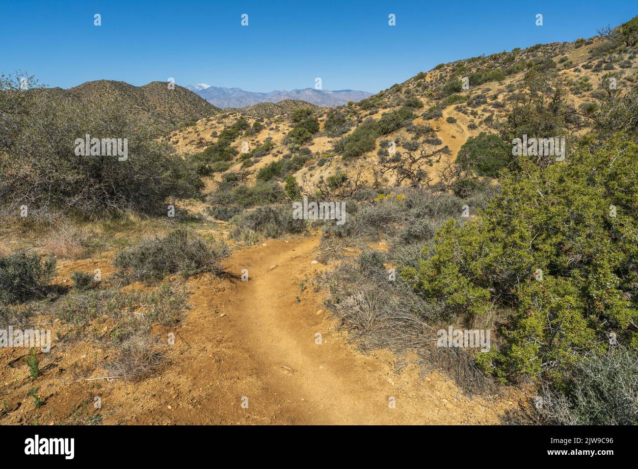 hiking the west side loop trail in black rock canyon, joshua tree ...
