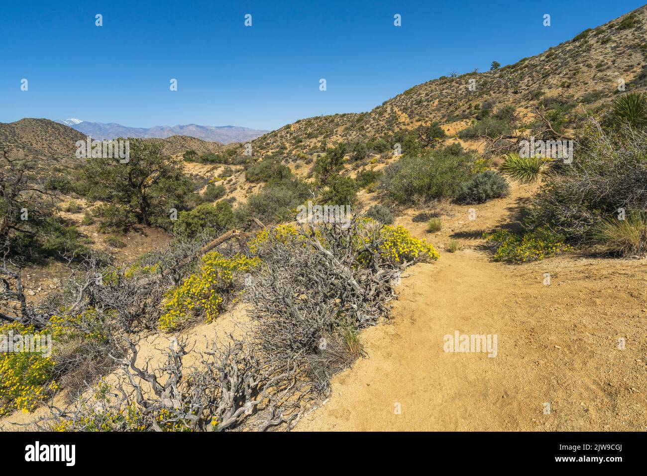 hiking the west side loop trail in black rock canyon, joshua tree ...