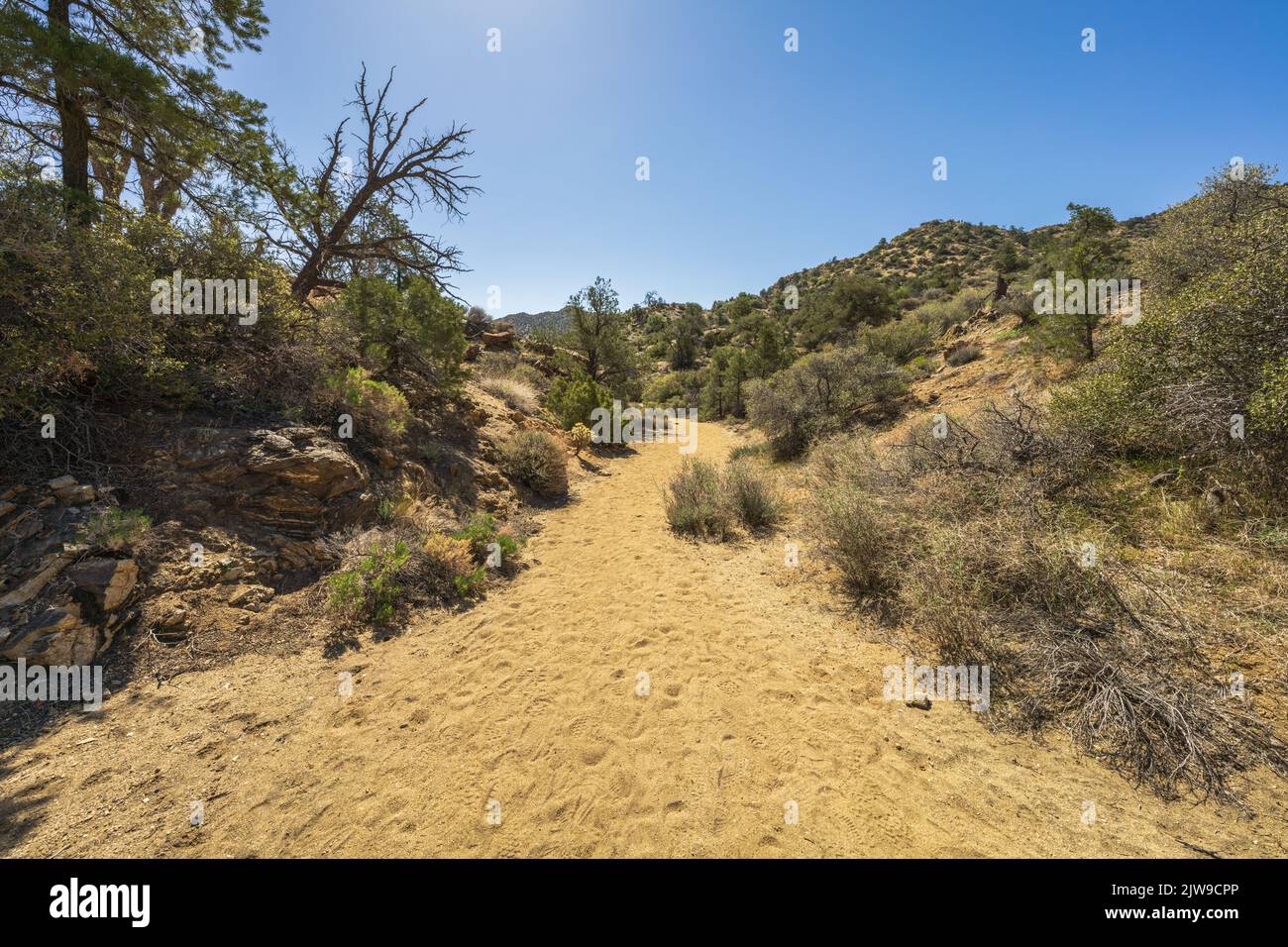 hiking the west side loop trail in black rock canyon, joshua tree ...
