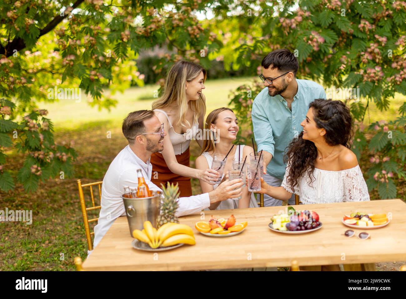 Group of young people cheering with fresh lemonade and eating fruits in ...