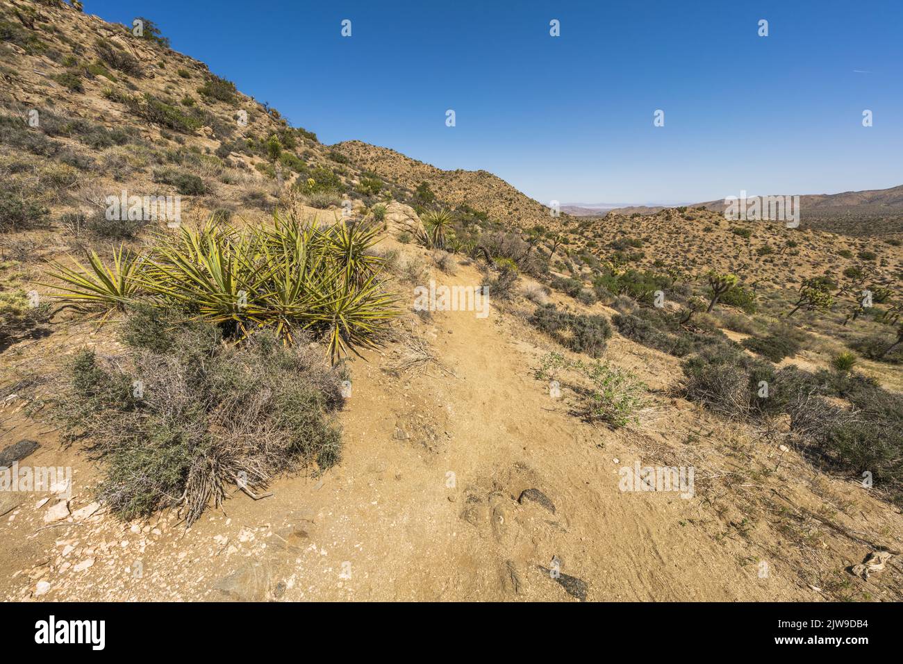 hiking the west side loop trail in black rock canyon, joshua tree ...