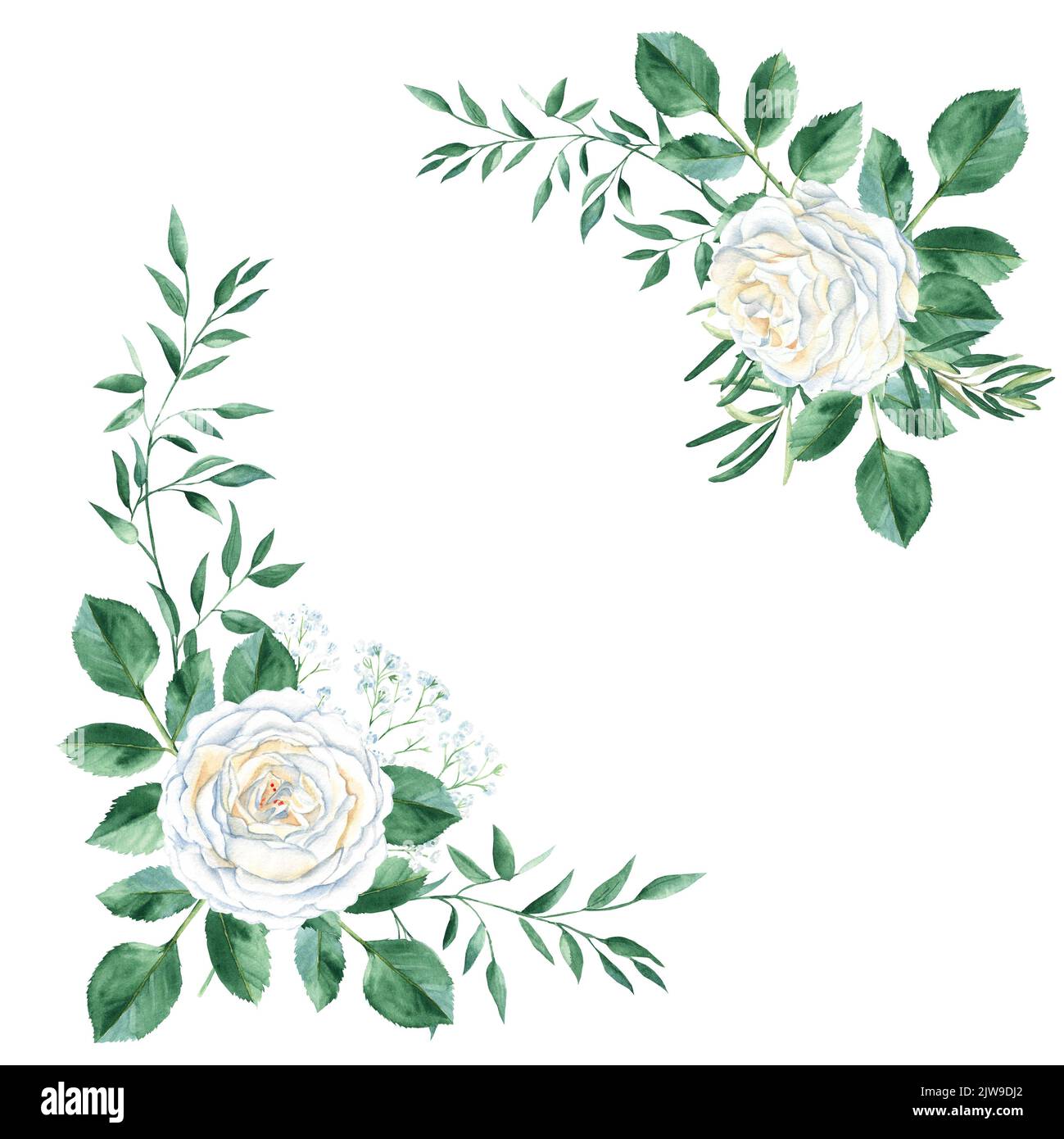 Watercolor floral bouquets, corners - illustration with white roses ...