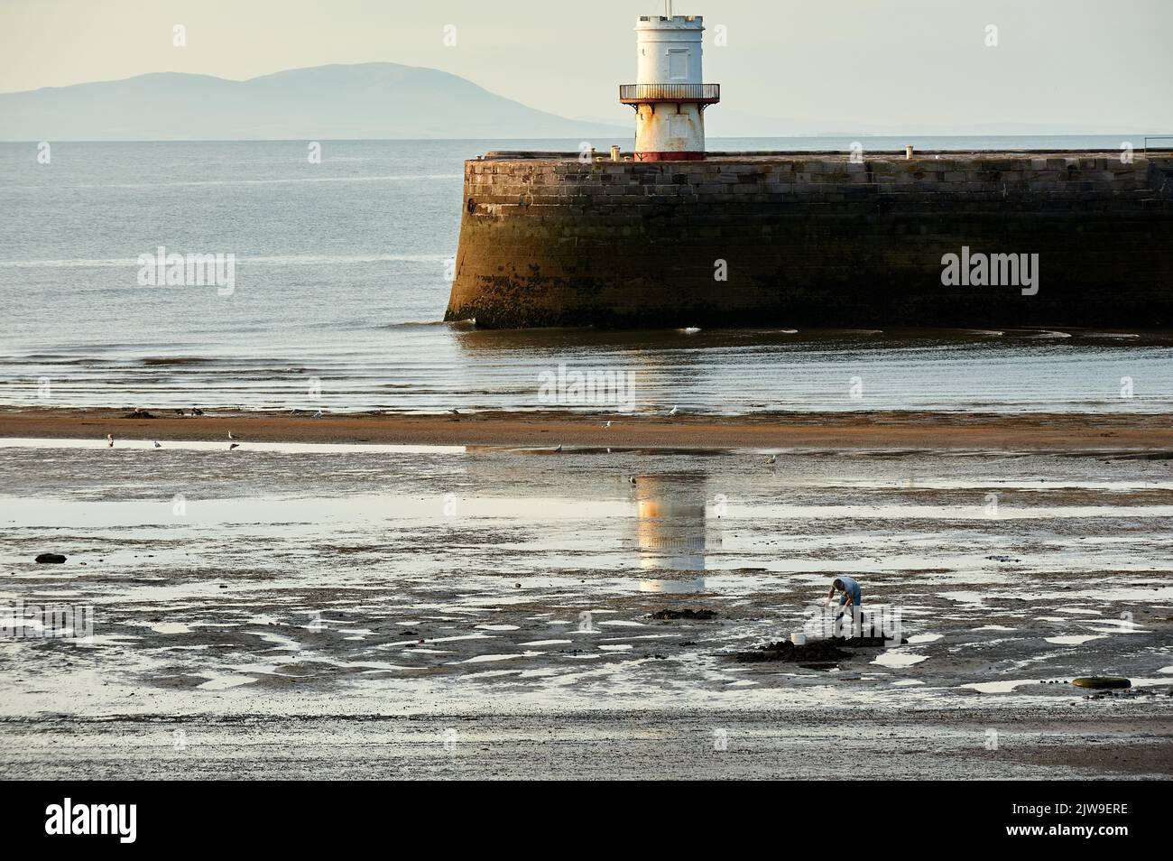 A fisherman picking worms at low tide in Whitehaven Harbour, Cumbria ...