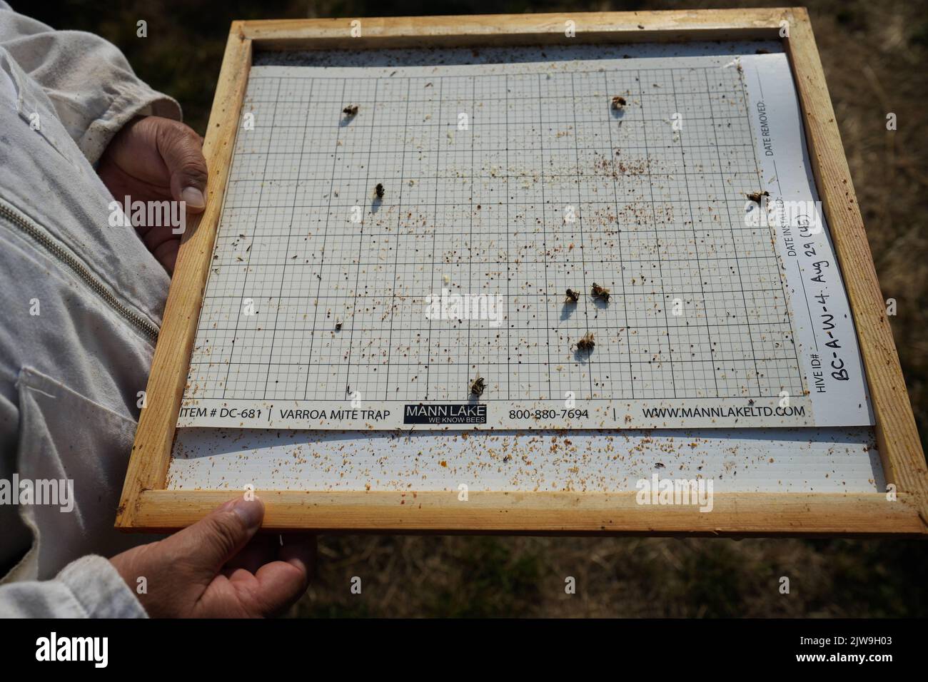 Jorge E. Macias-Samano, a research scientist at Simon Fraser University ...