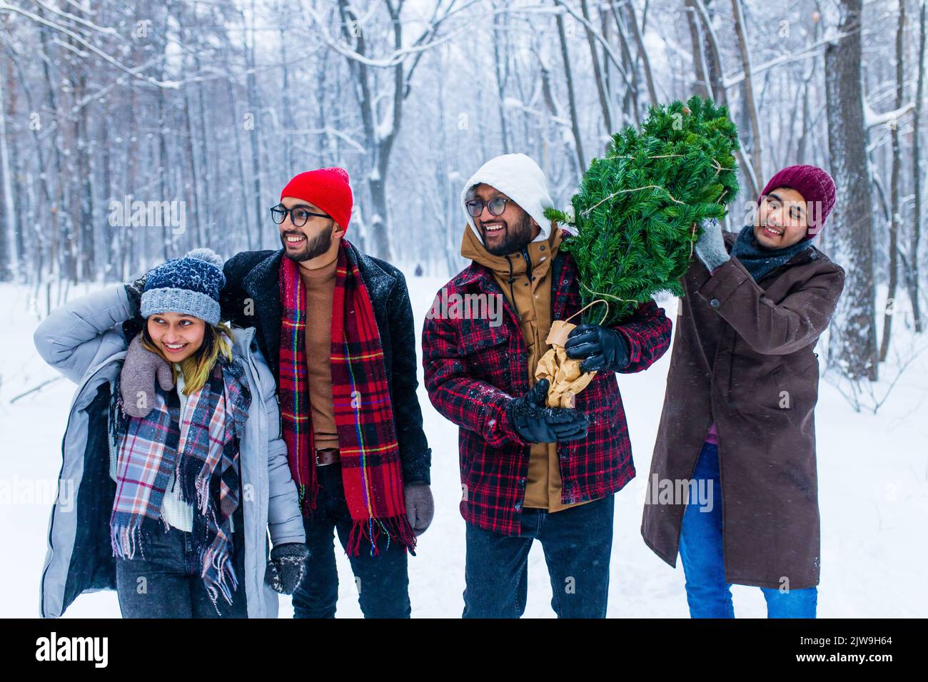 Outdoor lifestyle portrait of four best friends carrying the tree to ...