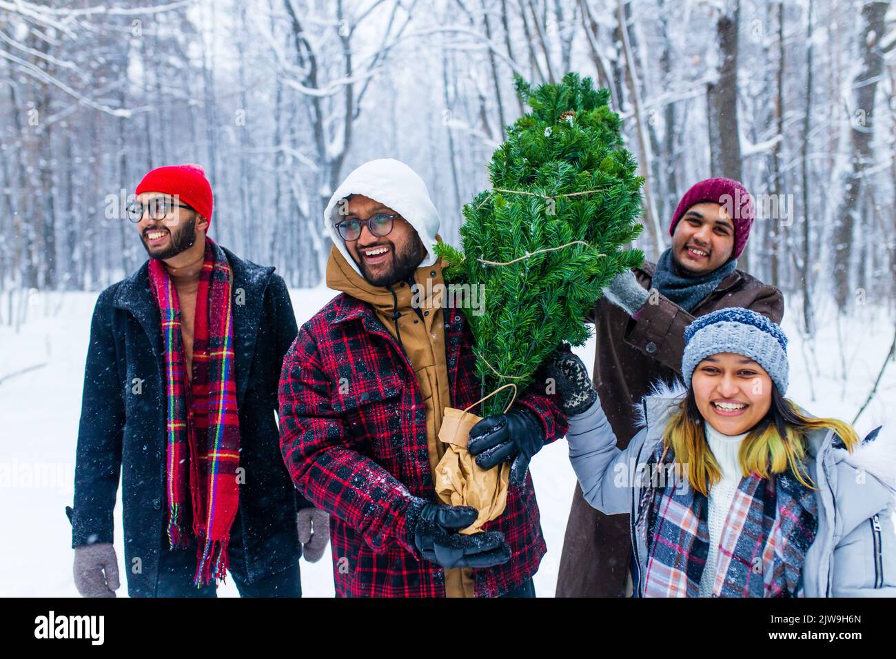 Outdoor lifestyle portrait of four best friends carrying the tree to ...
