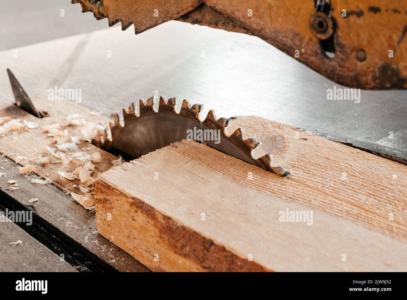The blade of a circular saw on the desktop cuts a pine board Stock ...