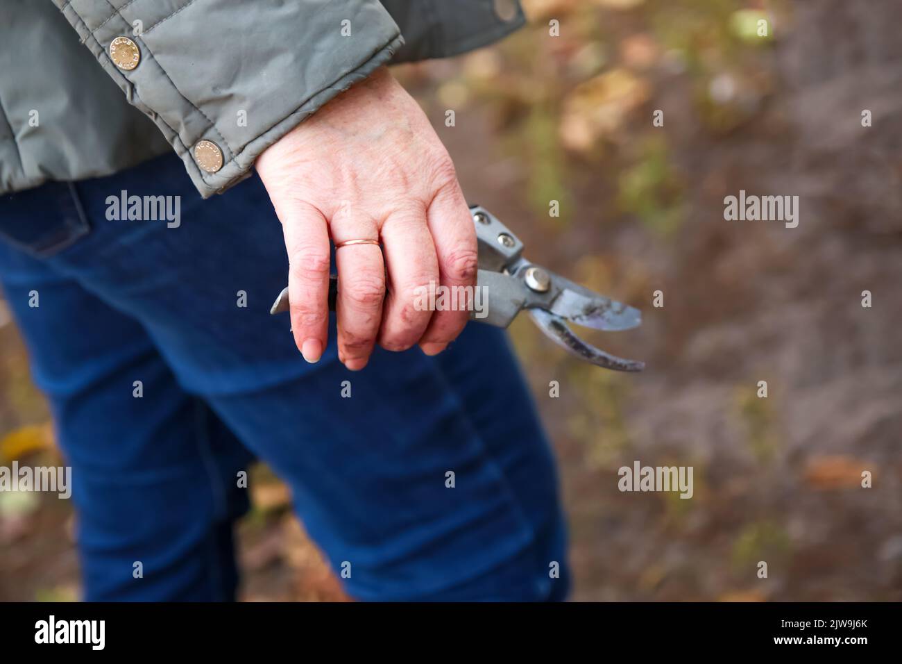 Defocus gardening scissors. Female hand holding gardening scissors ...