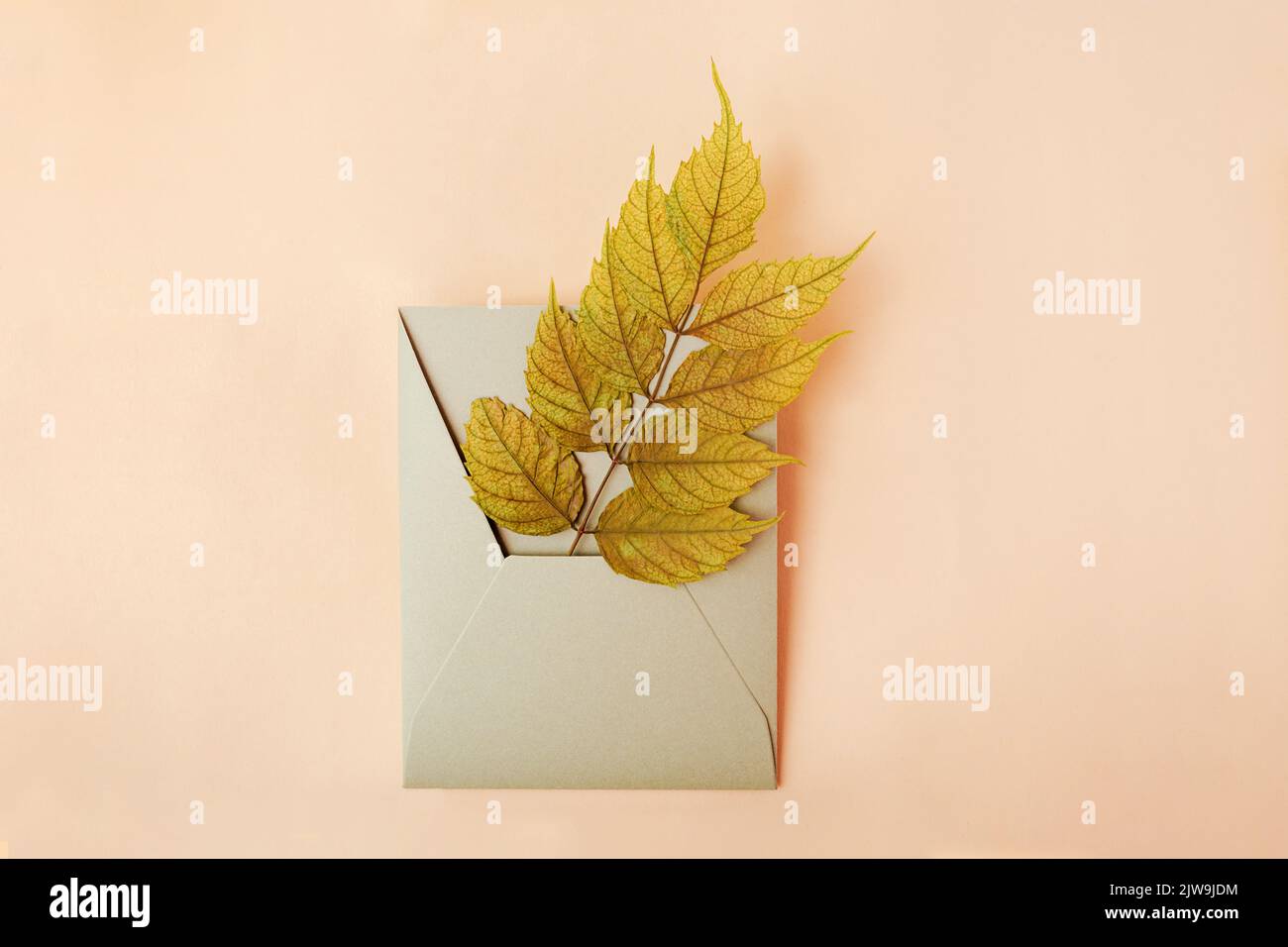 Photography from above of craft envelope with dry leaf in it.Autumn ...