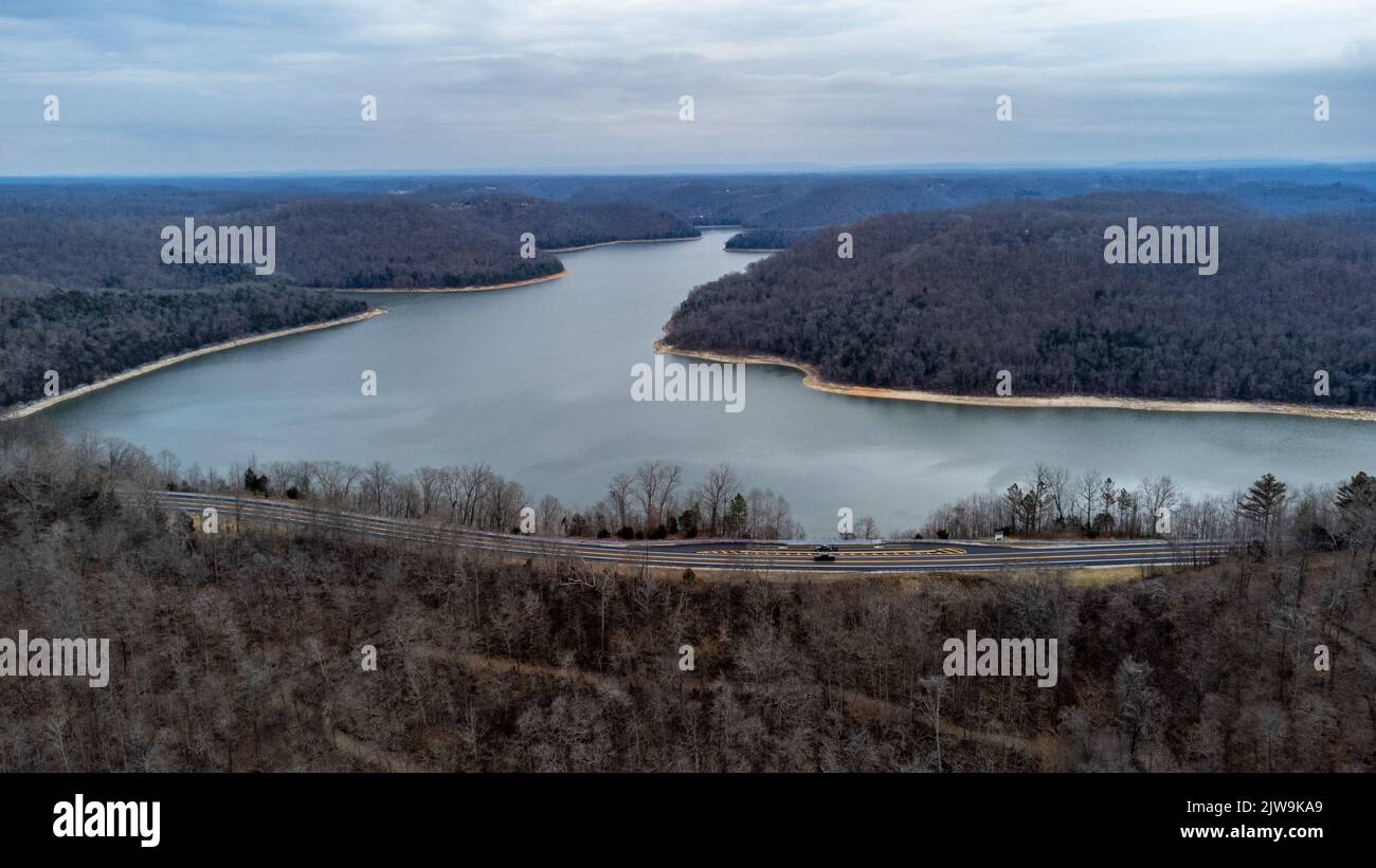 The view of the river and shoreline with dense vegetation Stock Photo ...