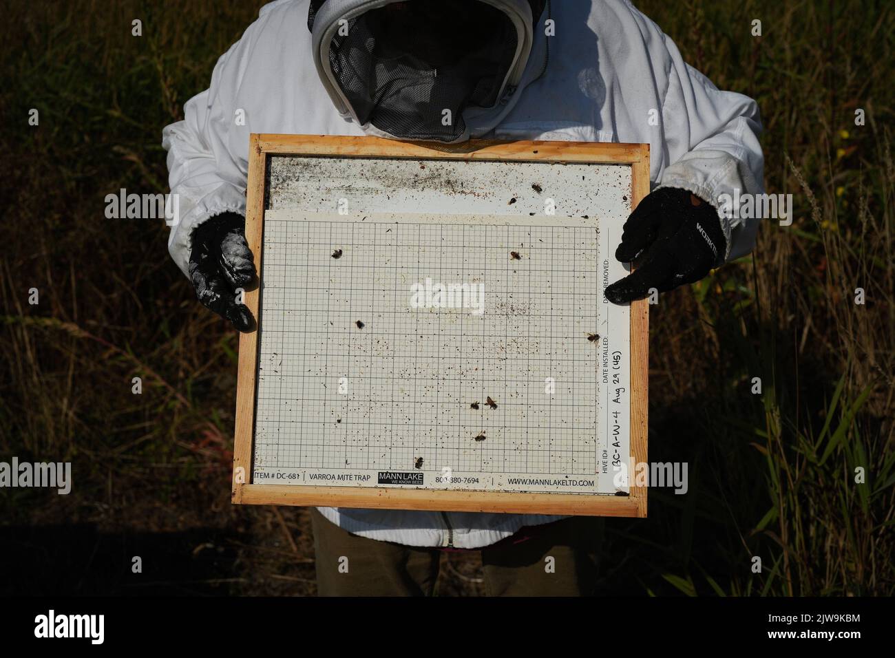 Jorge E. Macias-Samano, a research scientist at Simon Fraser University ...