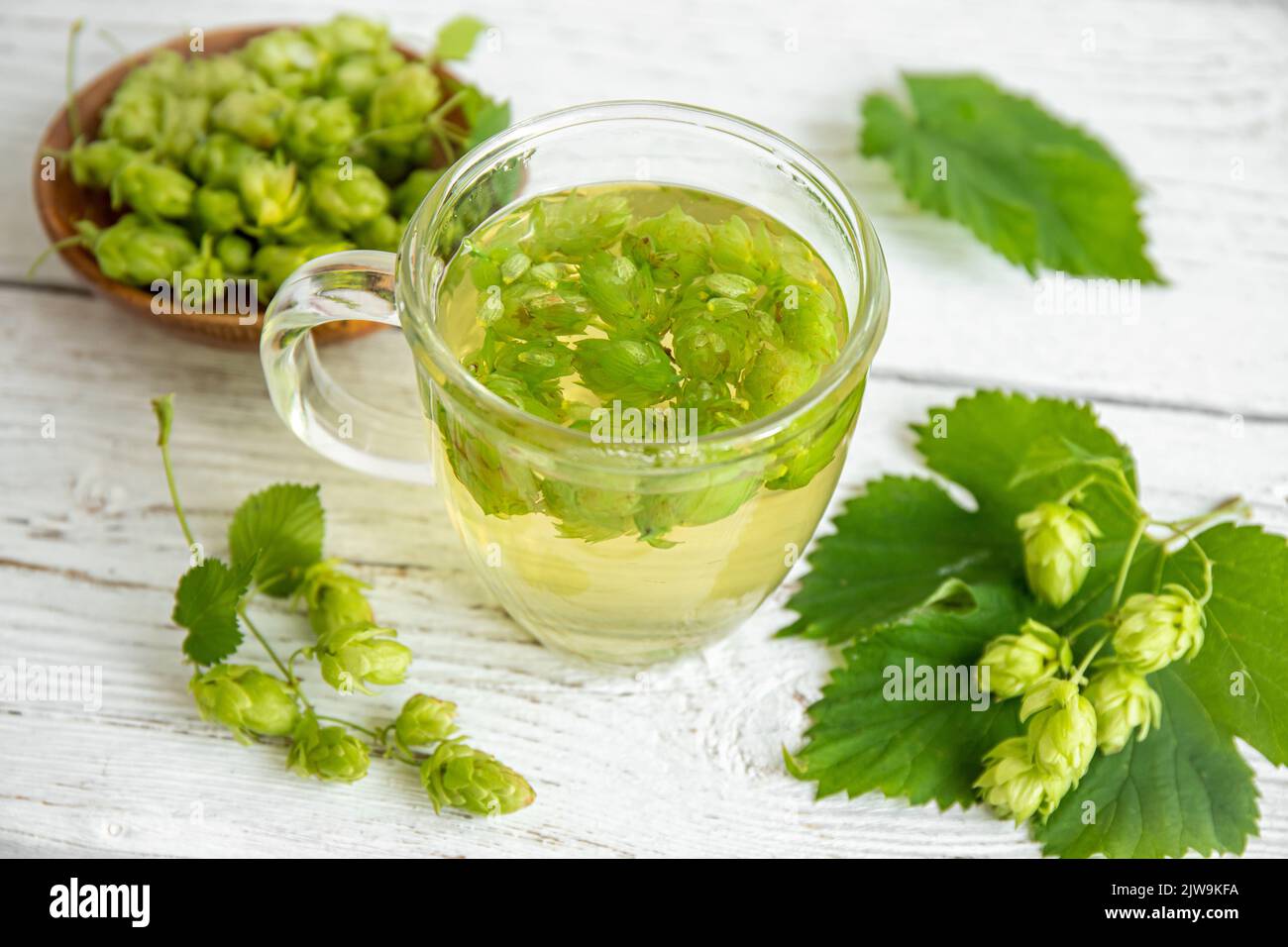 Herbal medicinal tea drink made of Humulus lupulus, the common hop or ...