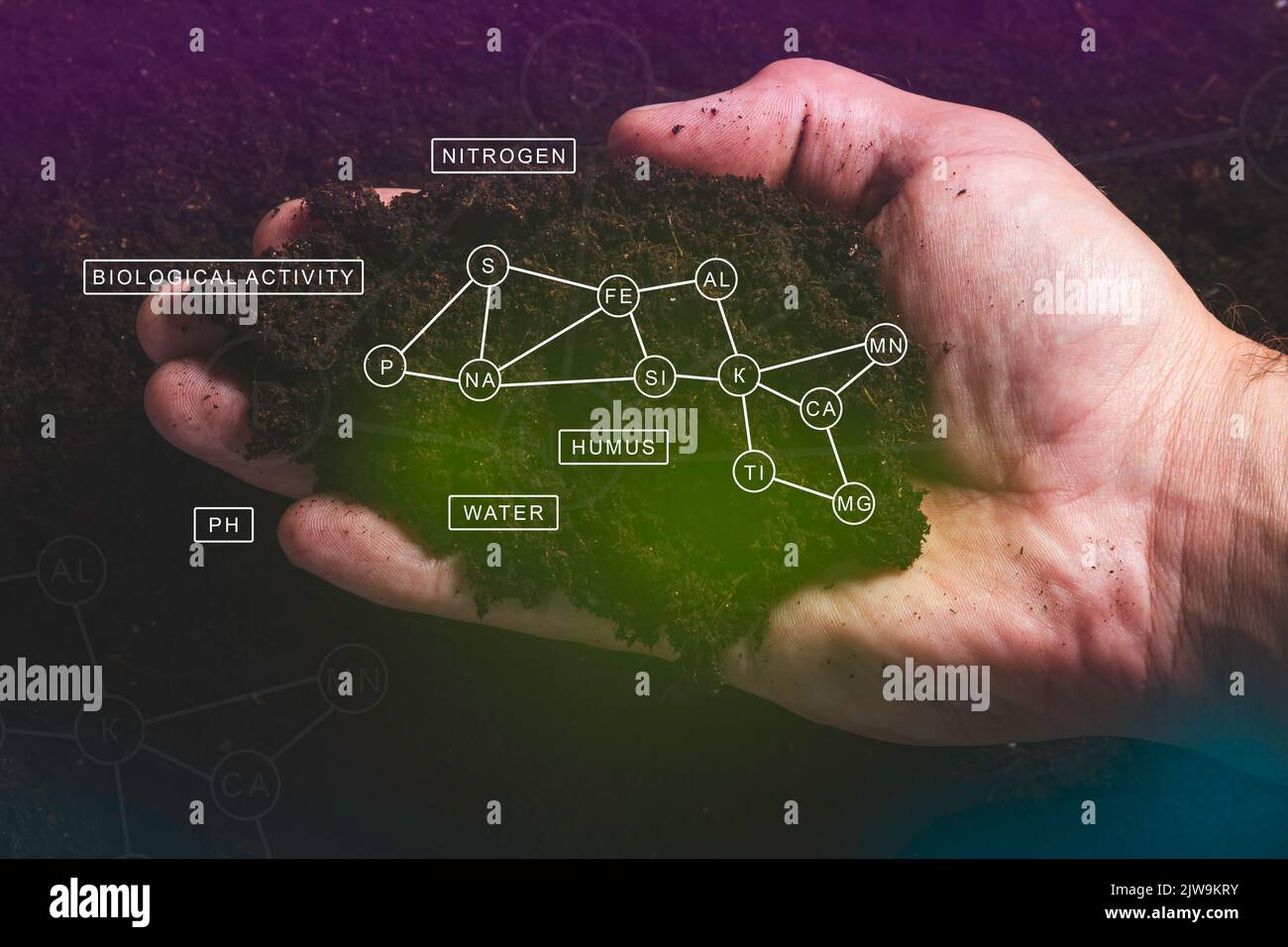 Earth in hand. The farmer took over the land. Sowing seeds on the farm ...