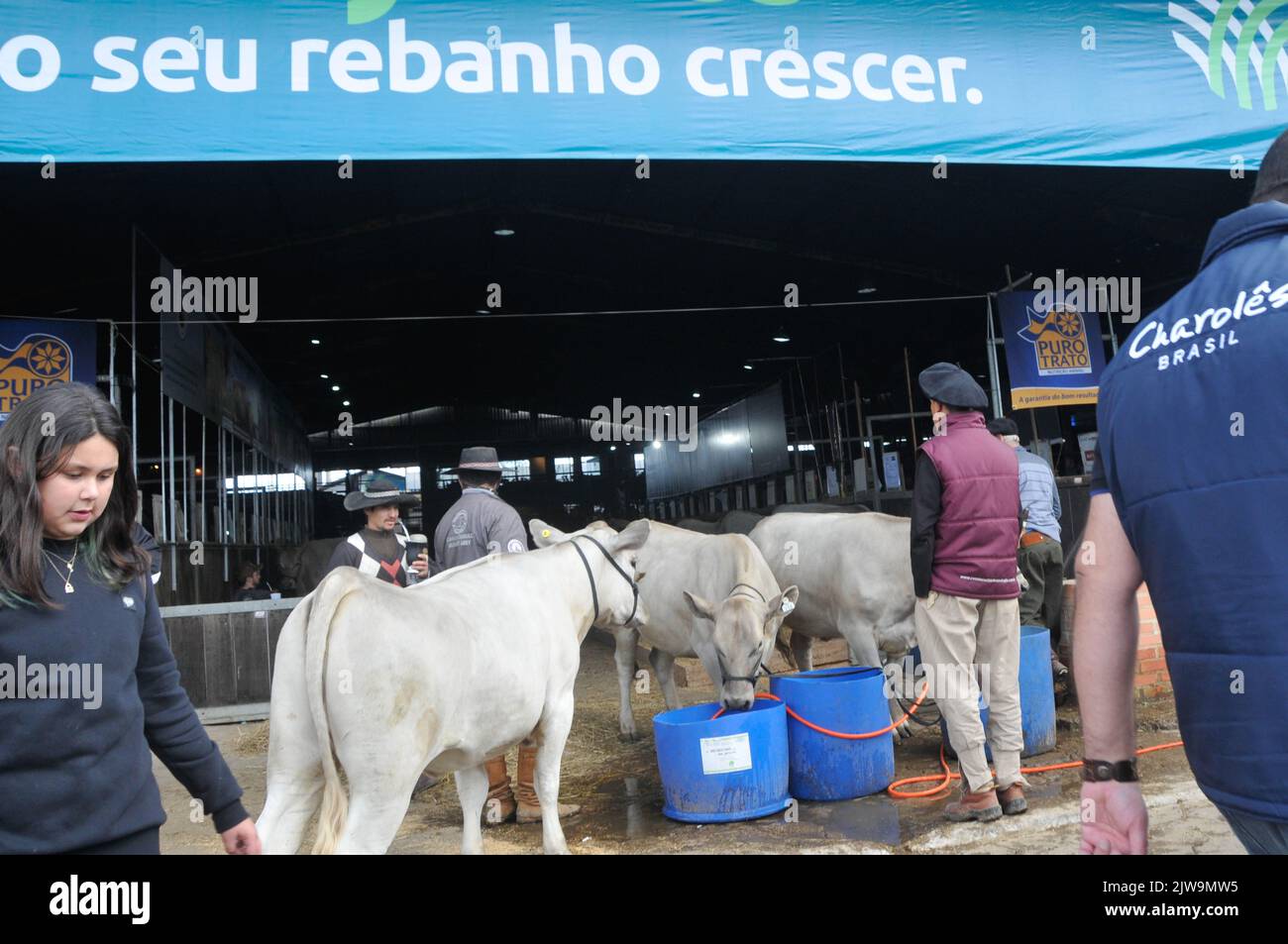 45ª edição Expointer 2022, a maior feira agro do brasil e da américa ...