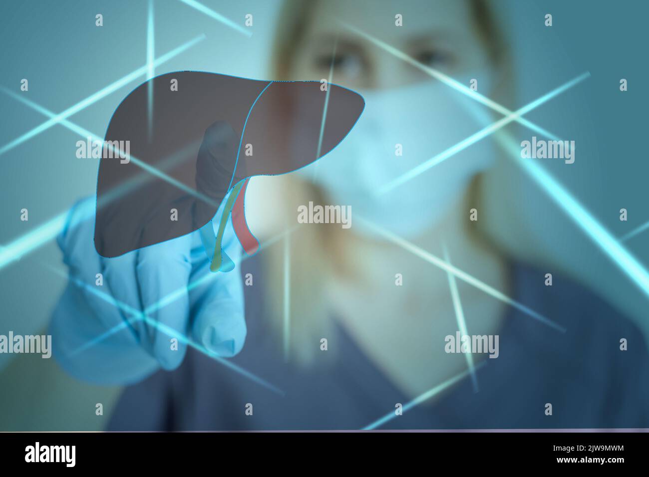 Female doctor touches virtual Liver in hand. Blurred photo, handrawn ...