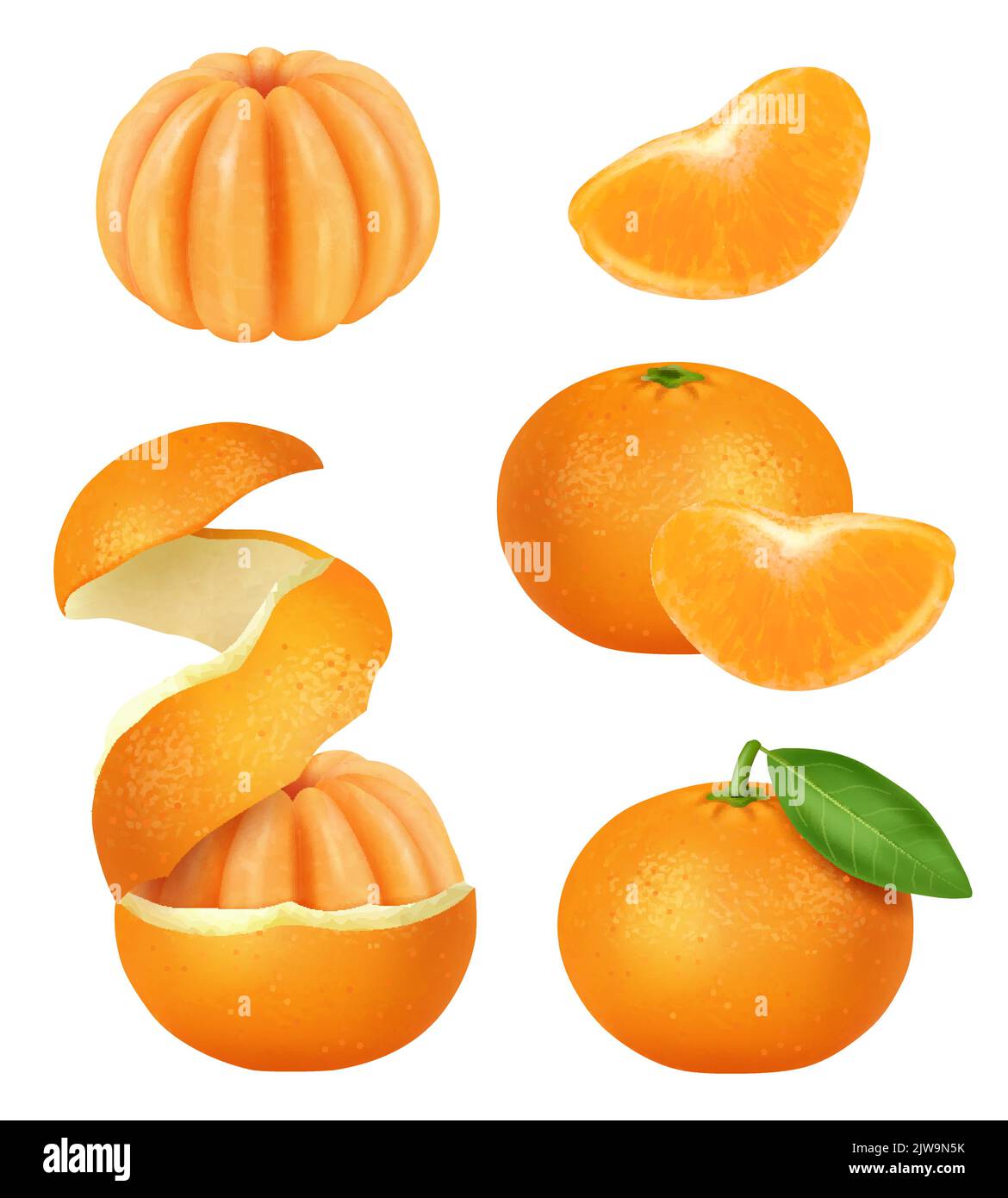 Sliced orange. Realistic peeled mandarin and orange skin natural helthy ...