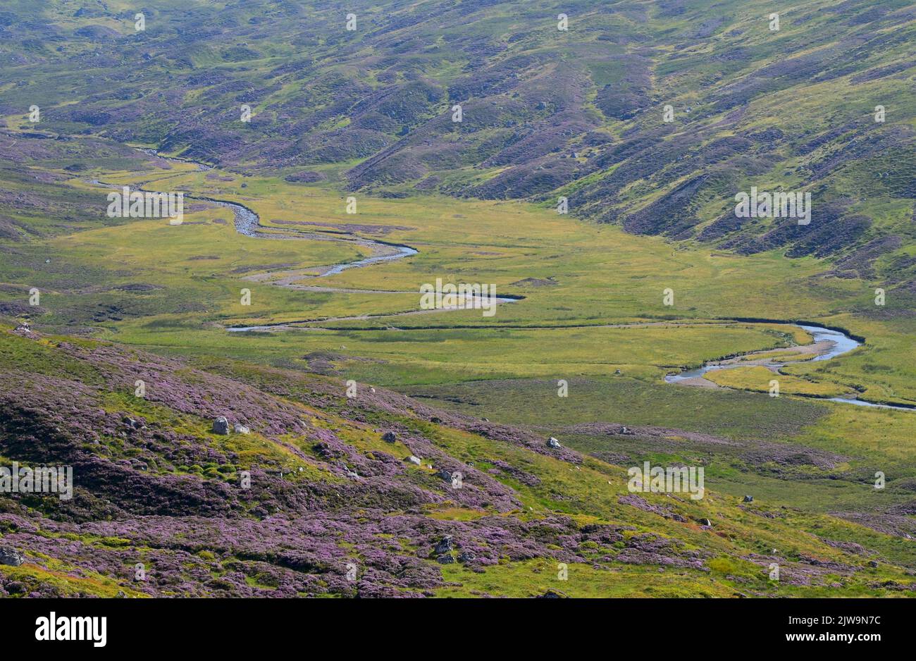 Upper Glen Callater, a Site of Special Scientific Interest within The ...