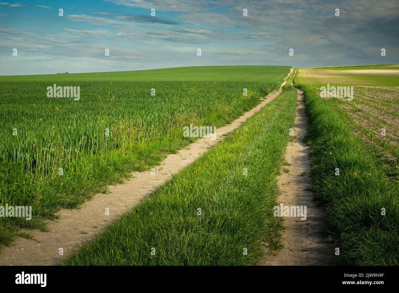 View road in rural hi-res stock photography and images - Alamy