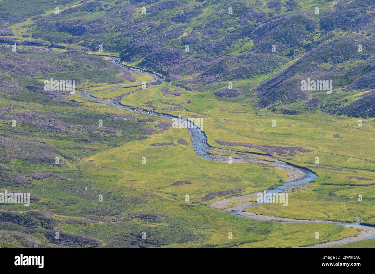 Loch callater walk hi-res stock photography and images - Alamy