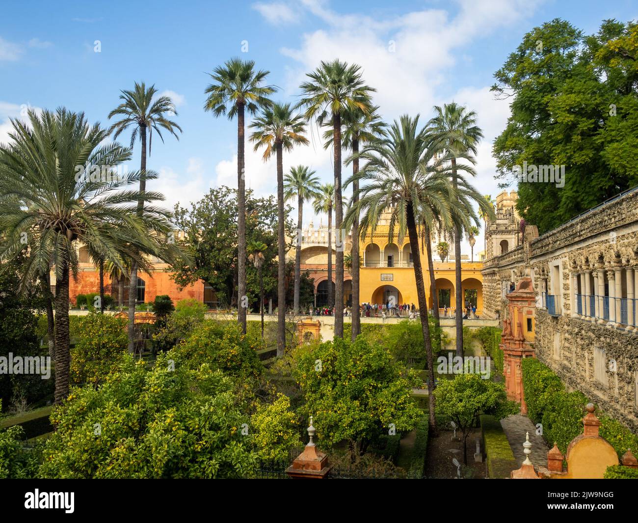 The alcazar of seville palm tree hi-res stock photography and images ...