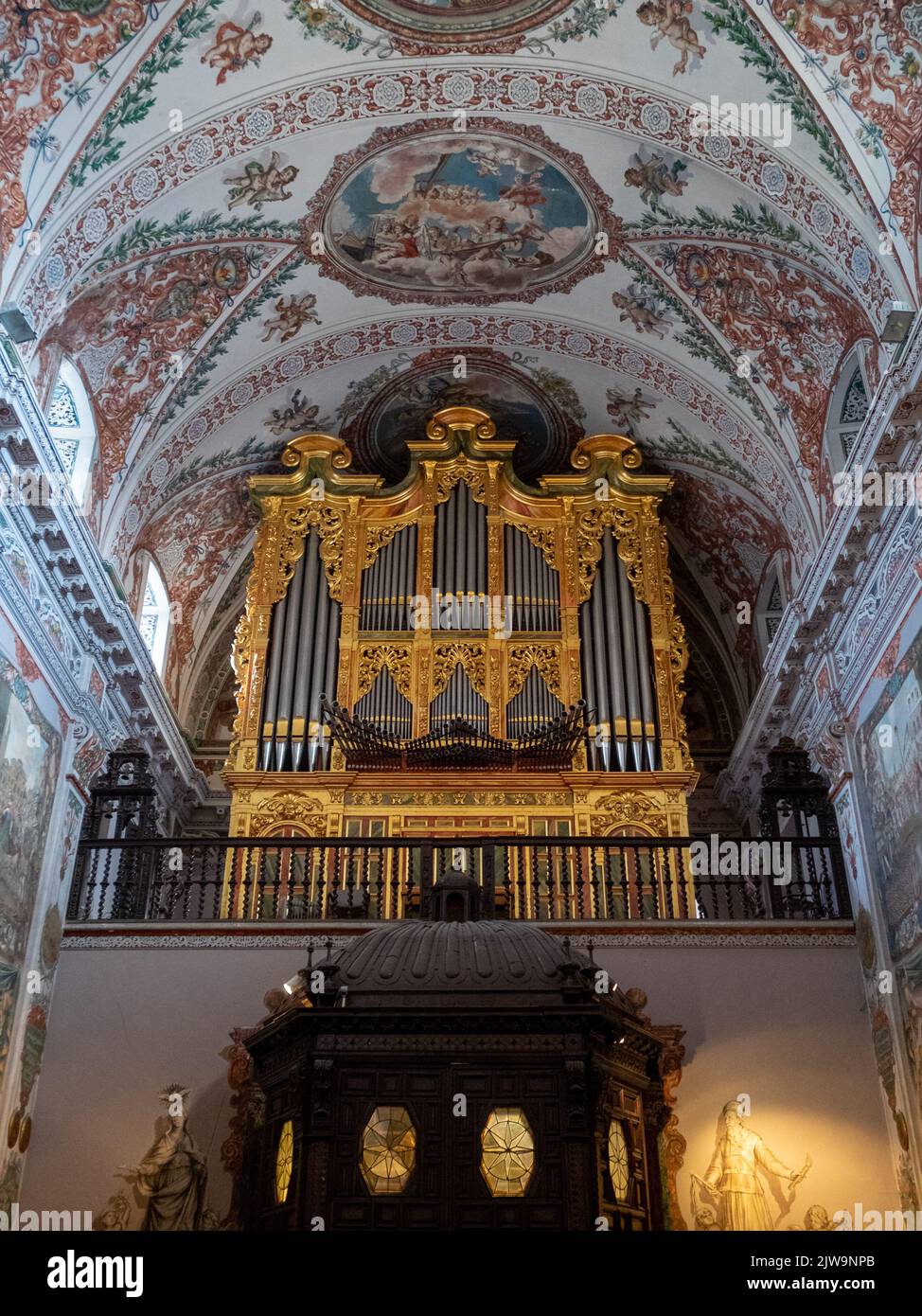 Hospital de los Venerables church barrel vault ceiling frescoes by ...