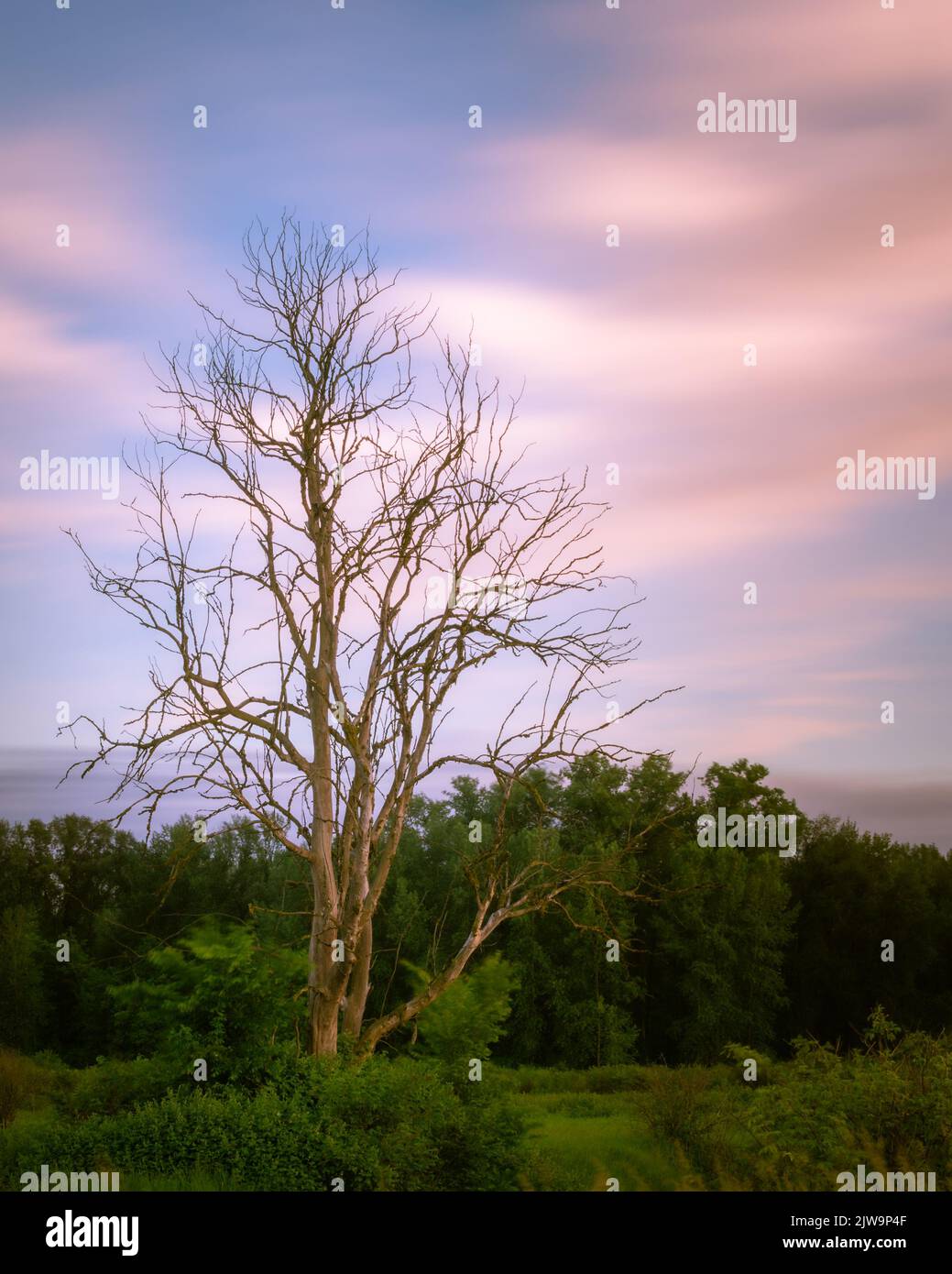 The dying hour hi-res stock photography and images - Alamy