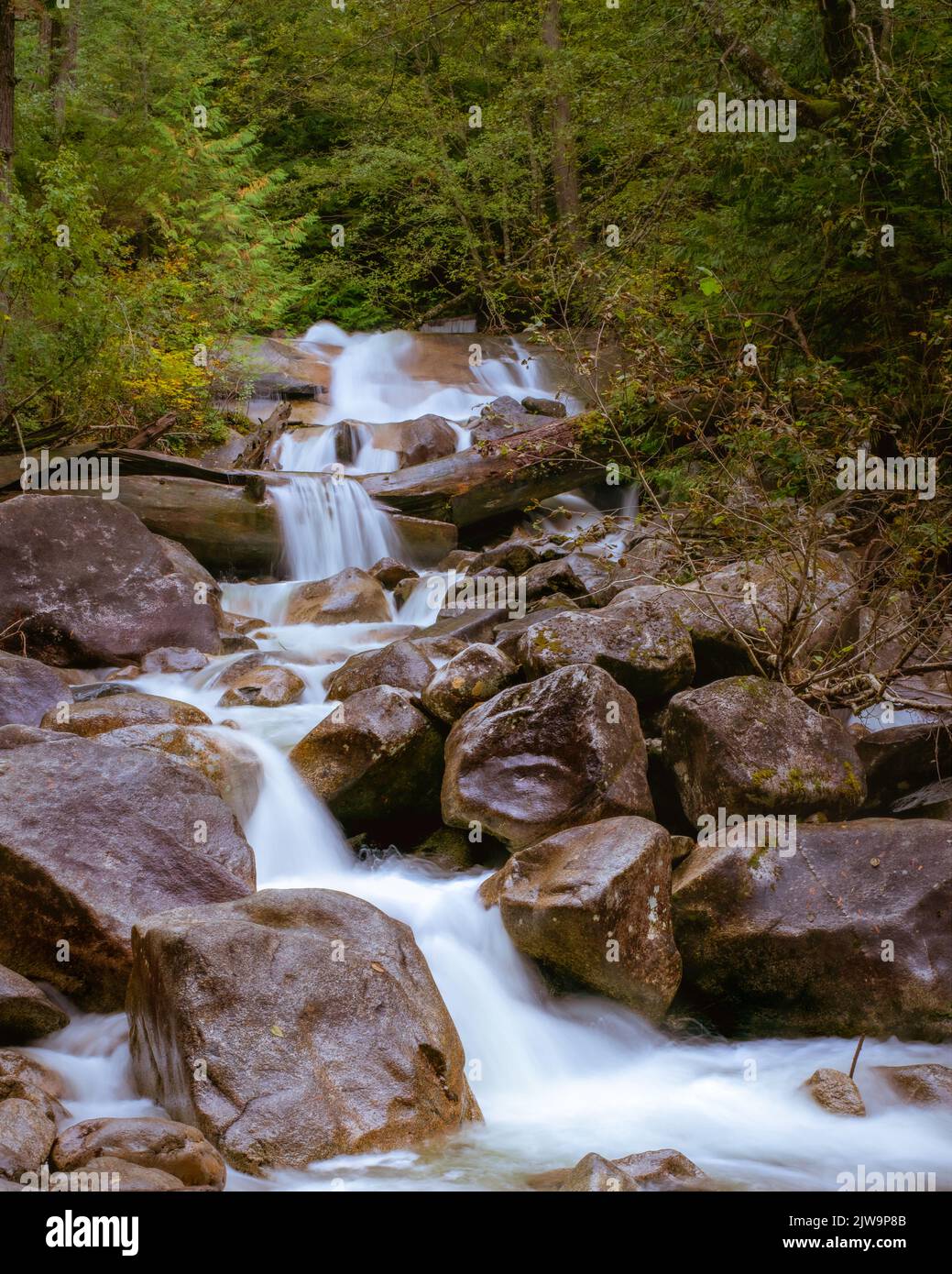 The lower part of Shannon Falls in Briish Columbia Stock Photo - Alamy
