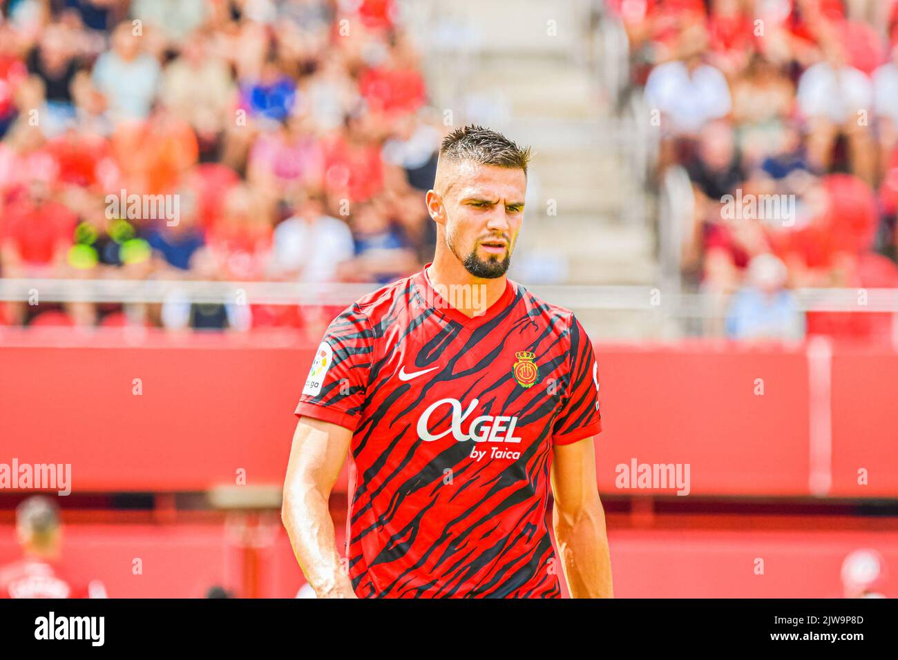 MALLORCA, SPAIN - SEPTEMBER 3: Martin Valjent of RCD Mallorca between ...