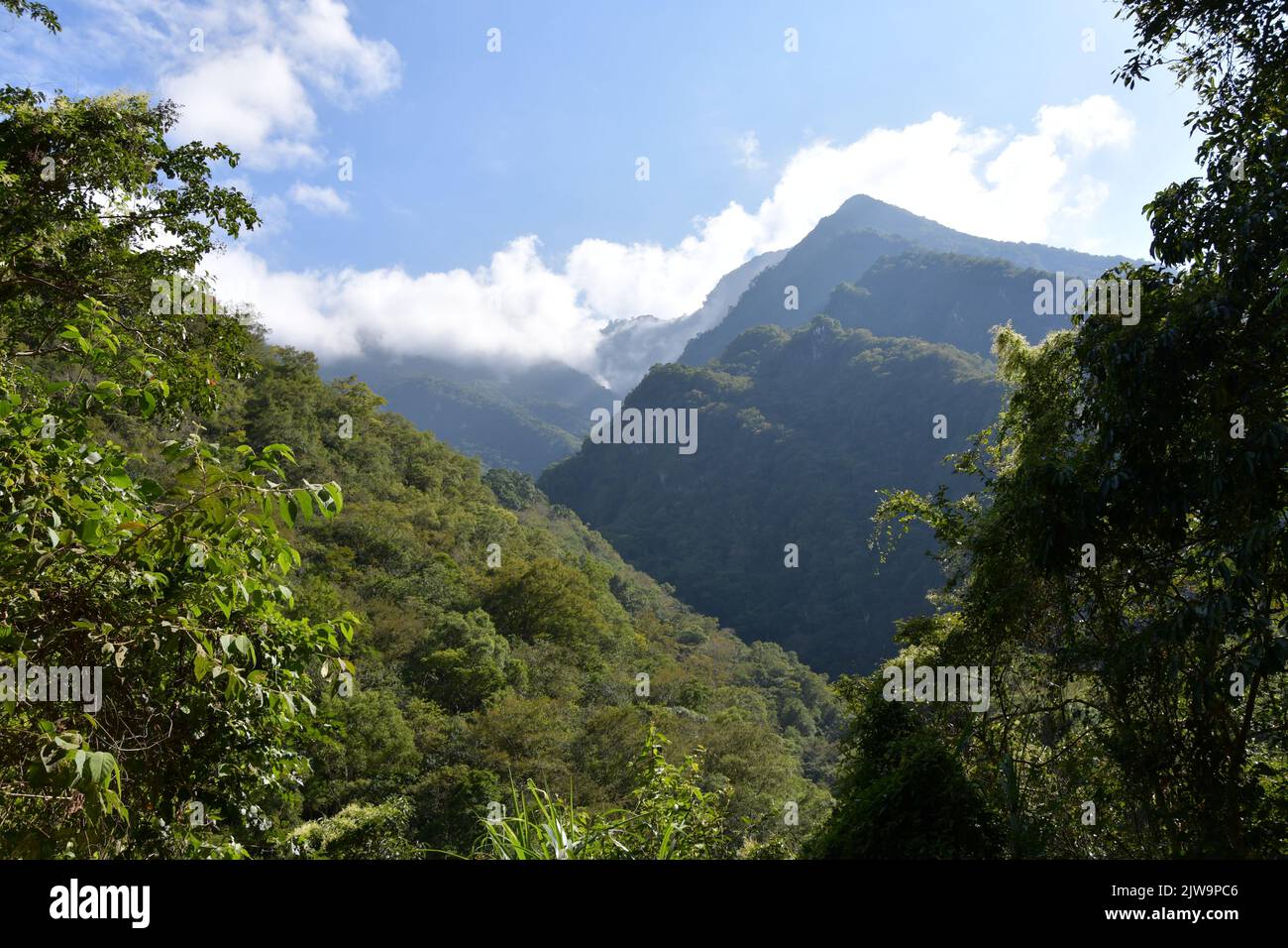 Tianxiang taiwan hi-res stock photography and images - Alamy